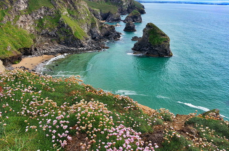 Contact Yellow Sands Holiday Cottages in Cornwall